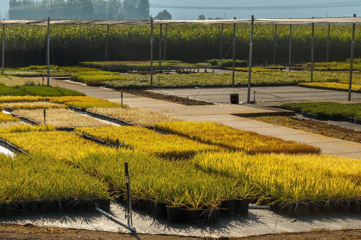 Our Portfolio of Businesses in Horticulture | Alta Arbor Holdings